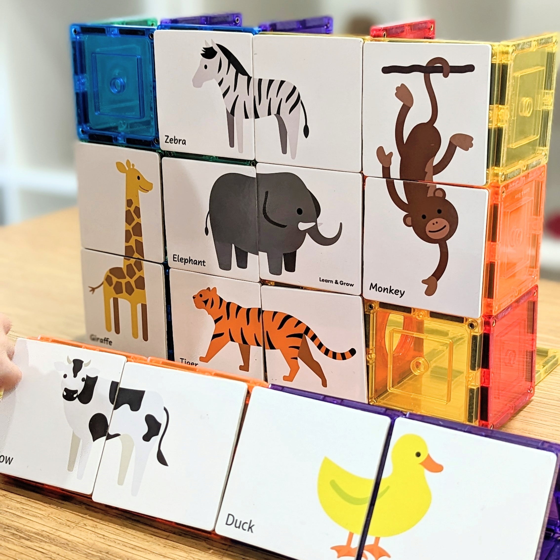 Learn and Grow Magnetic Tile Topper - Animal Duo Puzzle Pack (40 Piece ...